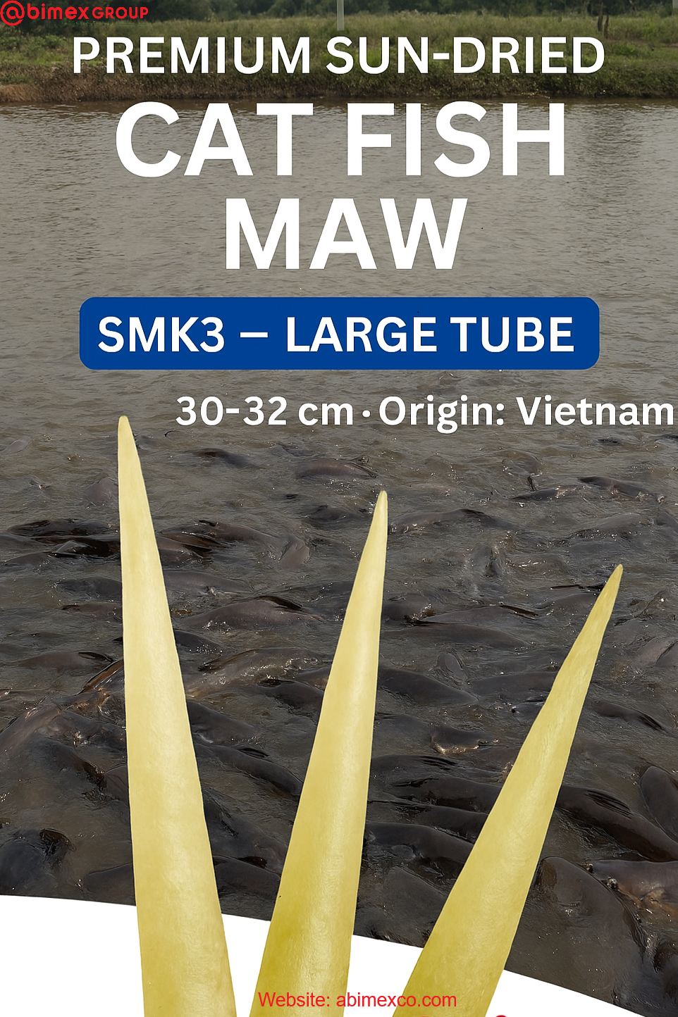 Premium Sun-Dried Fish Maw (SMK3 – Big Tube) – High-Quality Sourcing ...