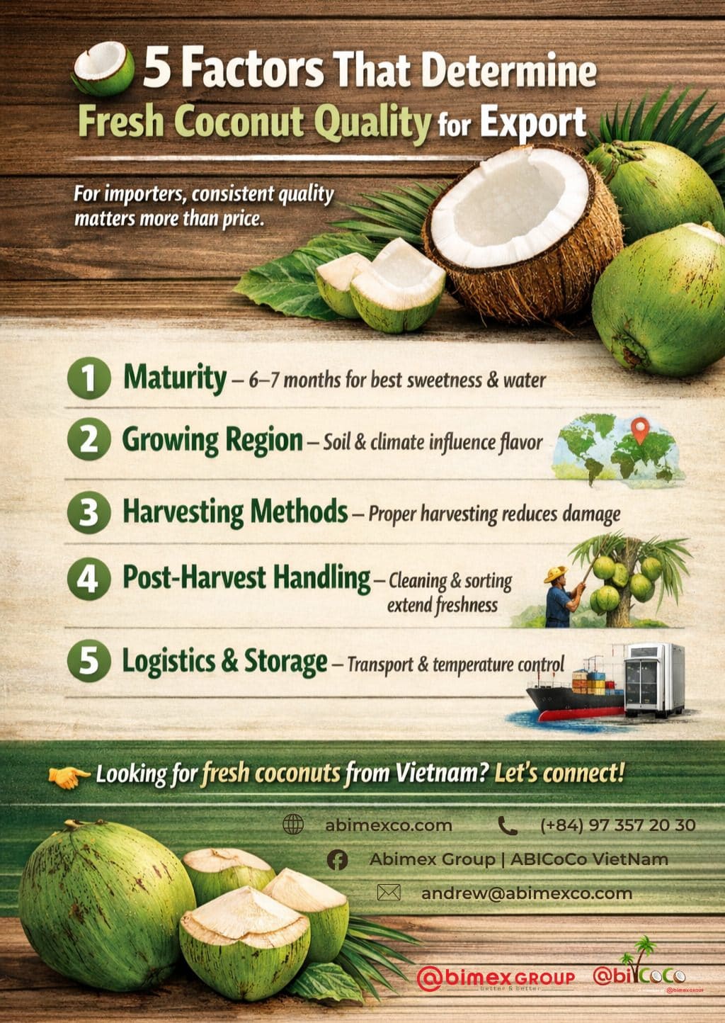 5 Factors That Determine Fresh Coconut Quality for Export - Abimexco